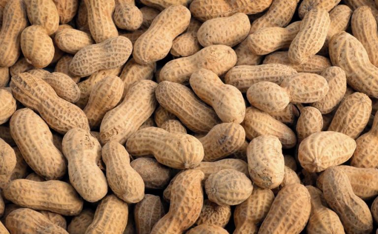 ≡ Facts About Peanuts You (Probably) Didn't Know 》 Her Beauty