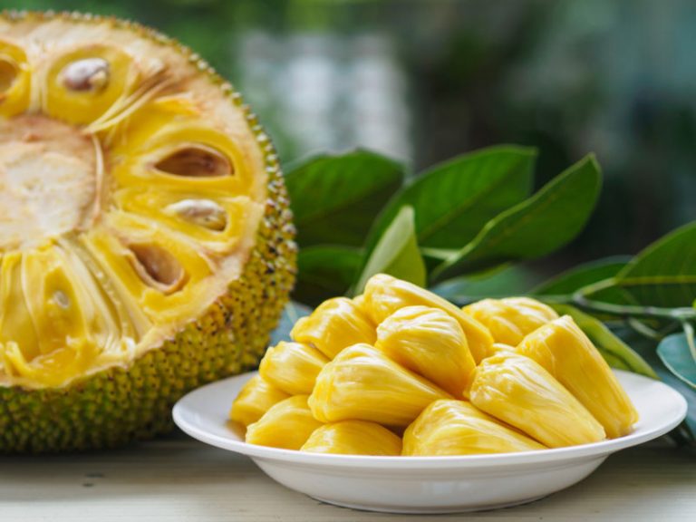 ≡ 9 Facts You Need To Know About The Lip-Smacking Jackfruit 》 Her Beauty