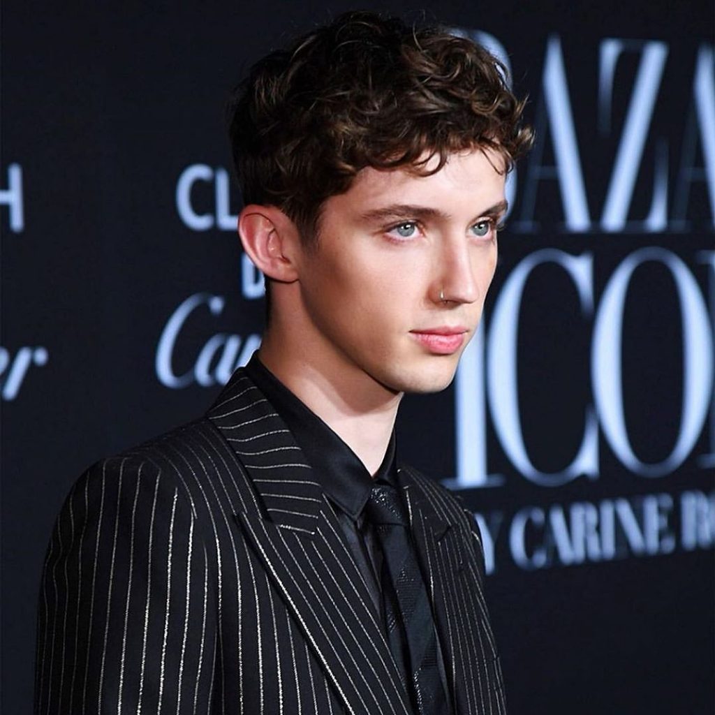≡ 12 Reasons We Love Troye Sivan 》 Her Beauty