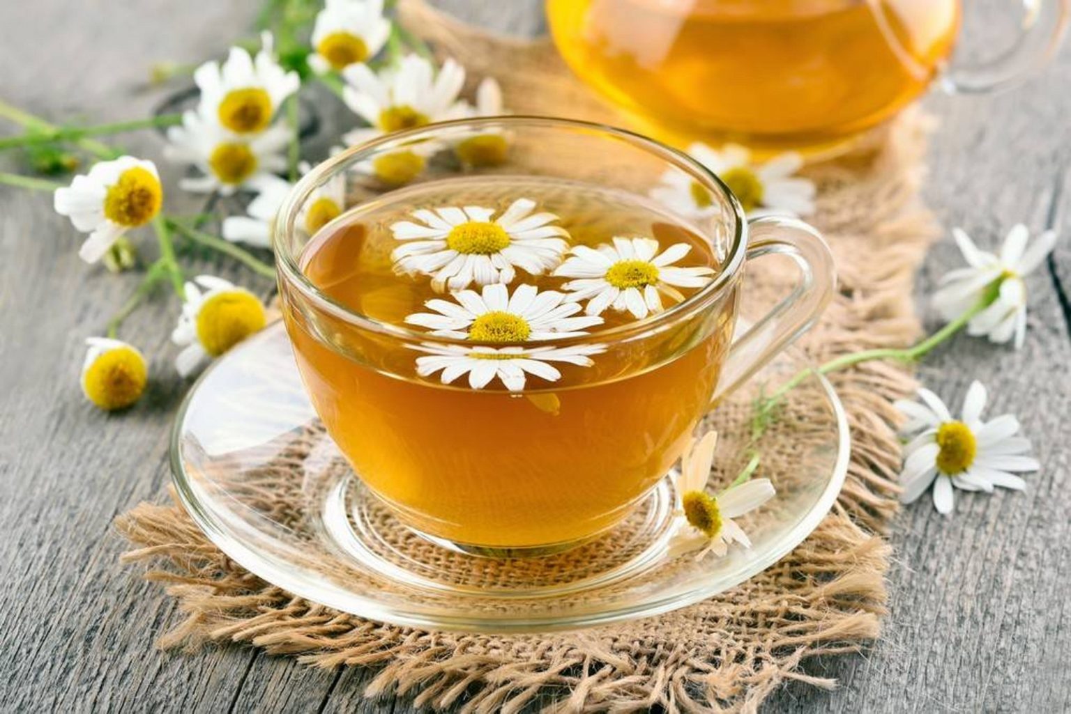 8 Benefits Of Chamomile Tea Her Beauty 8 Benefits Of Chamomile Tea Her Beauty
