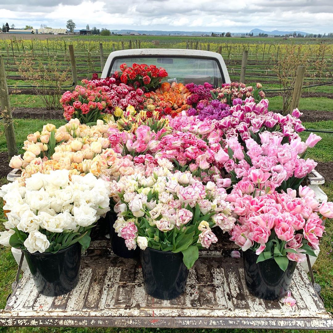 ≡ This Unreal Flower Farm Makes The Most Gorgeous Floral Arrangements ...