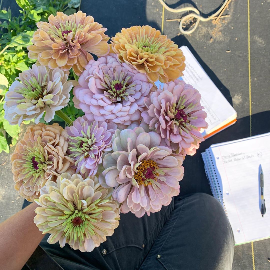 ≡ This Unreal Flower Farm Makes The Most Gorgeous Floral Arrangements ...