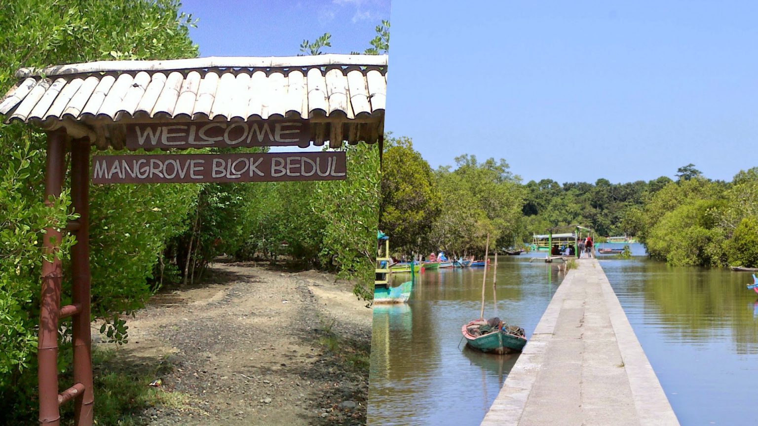 ≡ 6 Destinasi Wisata Mangrove Terindah di Indonesia, Pernah ...