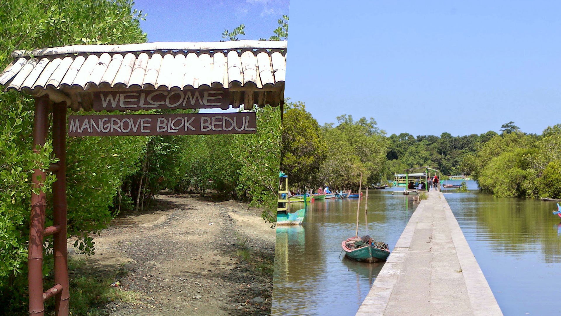 ≡ 6 Destinasi Wisata Mangrove Terindah di Indonesia, Pernah ...