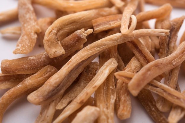 ≡ Unani Medicine Secrets to Know 》 Her Beauty