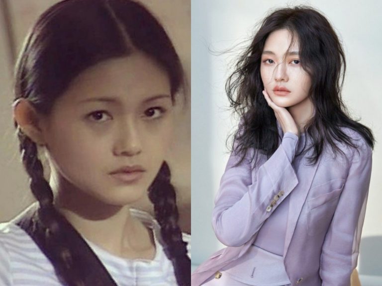≡ 7 Pemeran Meteor Garden Dulu Dan Sekarang, Ada Yang Meninggal! 》 Her ...
