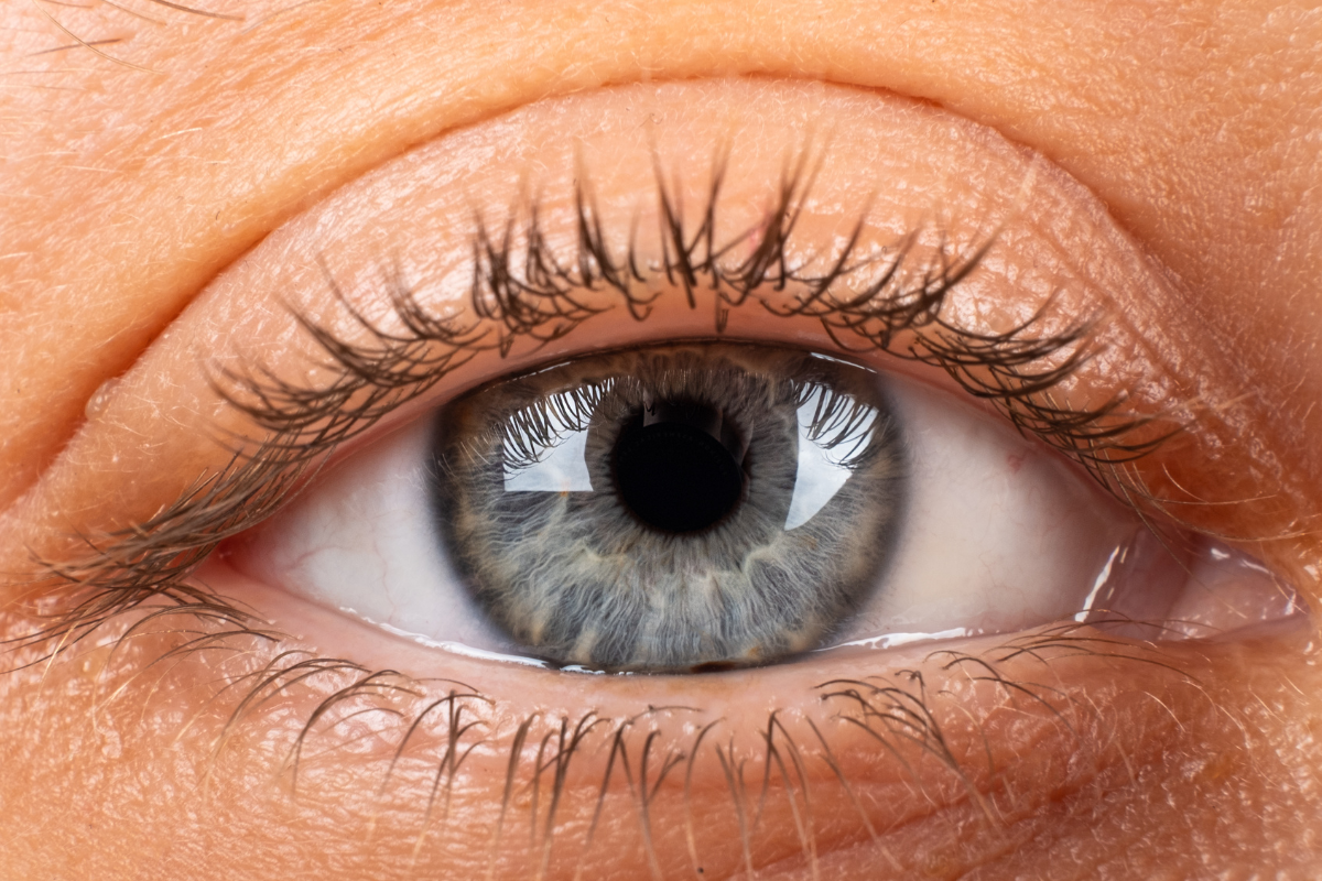 ≡ Ce que la couleur de vos yeux révèle sur votre personnalité 》 Her Beauty